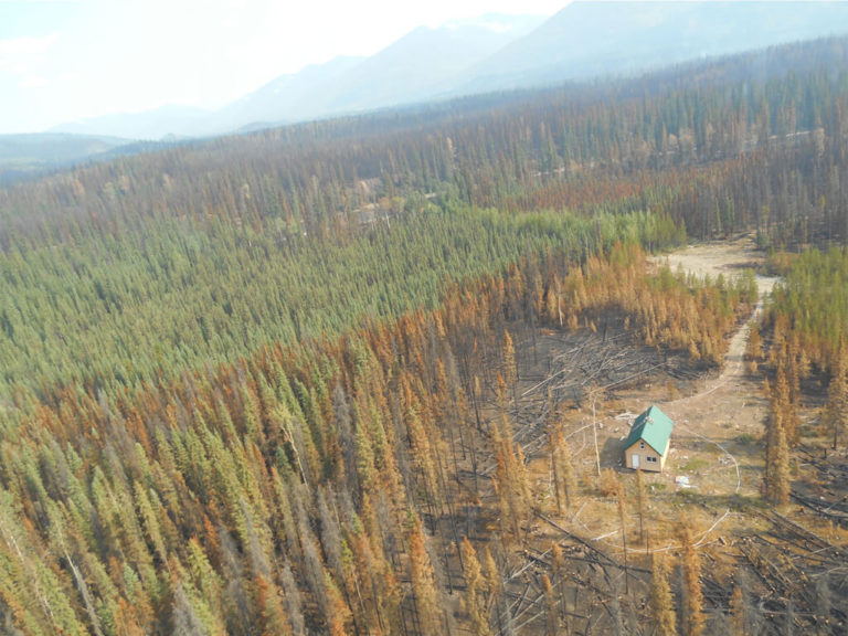 Wildfire Protection System, Forest Fire Home Protection | SPIEDR