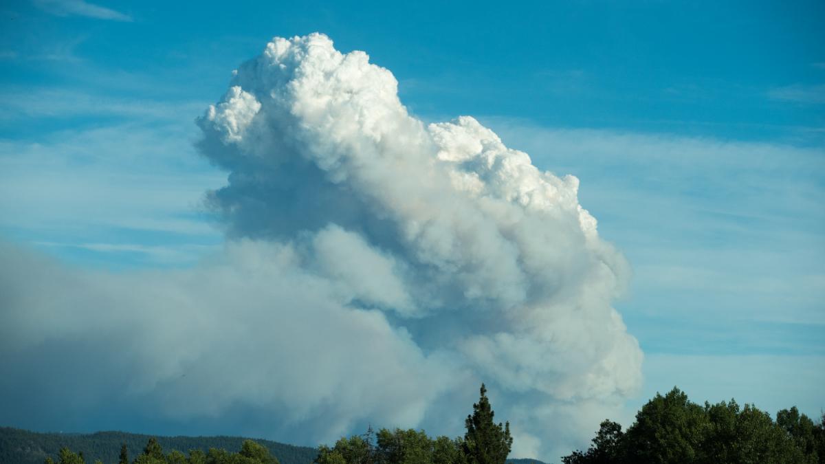 Tips for Dealing with Forest Fire Smoke