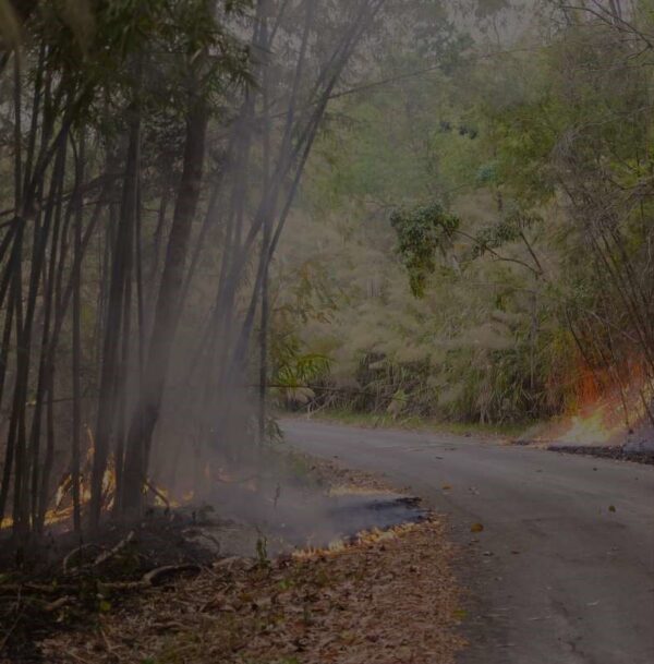 The Danger of Fire Embers | SPIEDR