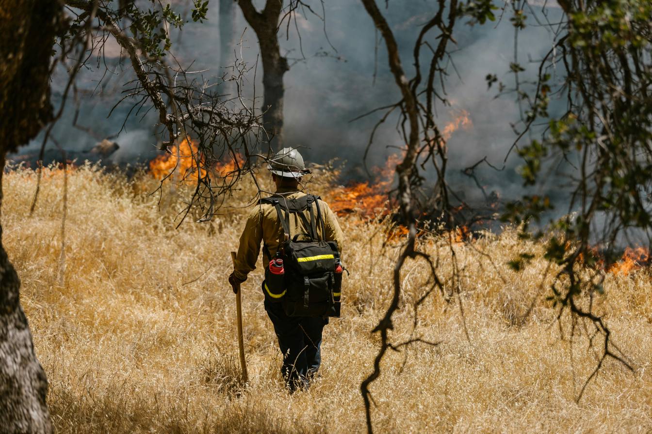 How a Wildfire Consultant Can Help Protect Your Property